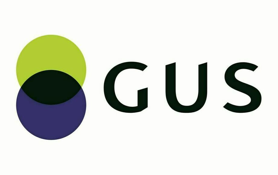 Badanie statystyczne GUS - Transport lekkimi pojazdami użytkowymi ...
